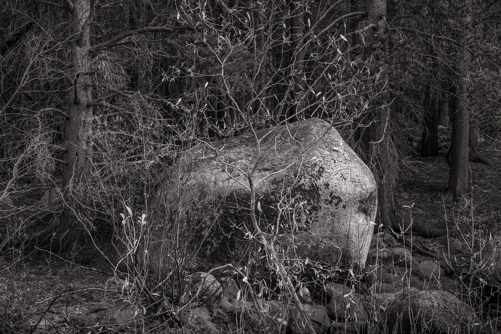 Lone Boulder, Horseshoe Meadow | Chuck Kimmerle, creative landscape ...
